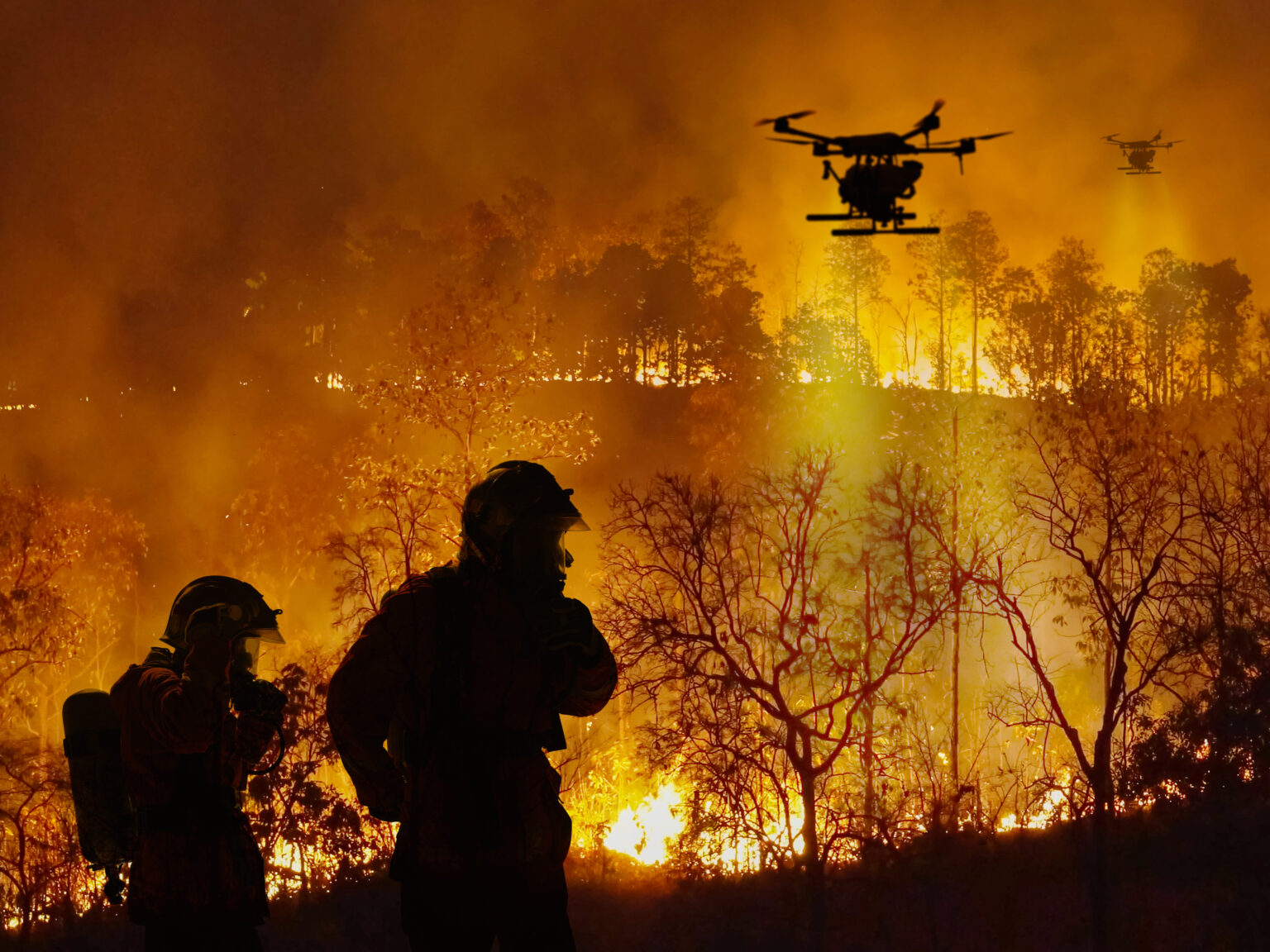 How the Insurance Industry is Tackling Rising Natural Disaster Costs ...